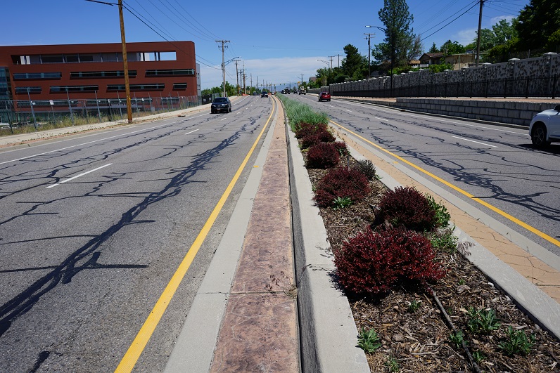 Statewide Raised Median Toolkit